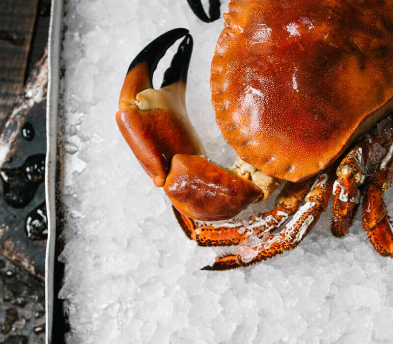 fine-dining-15 | EXPLIoT