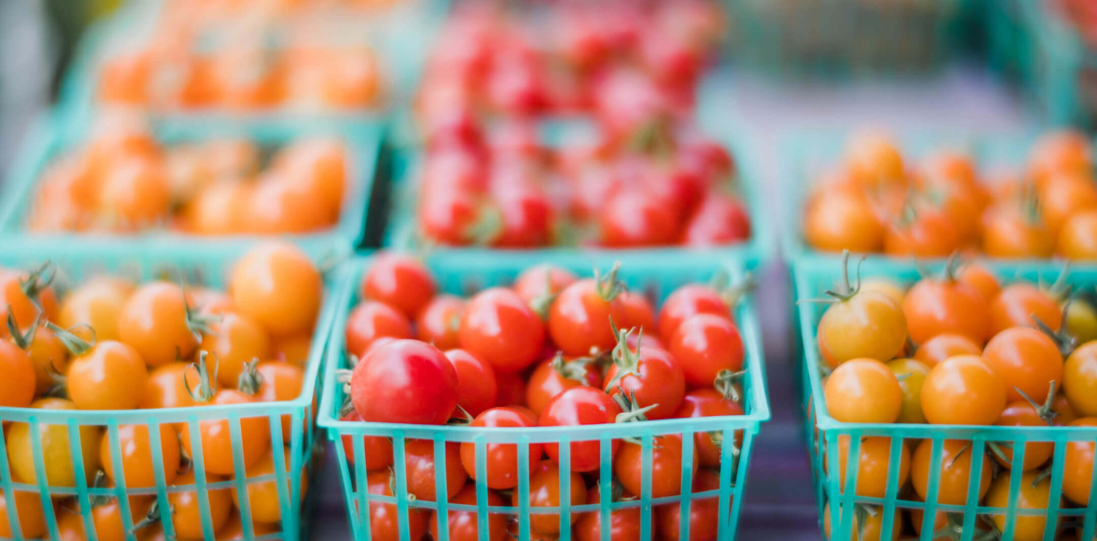 organic-farming-06 | EXPLIoT