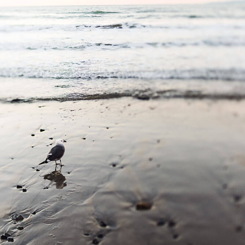 non-profit-09 | EXPLIoT